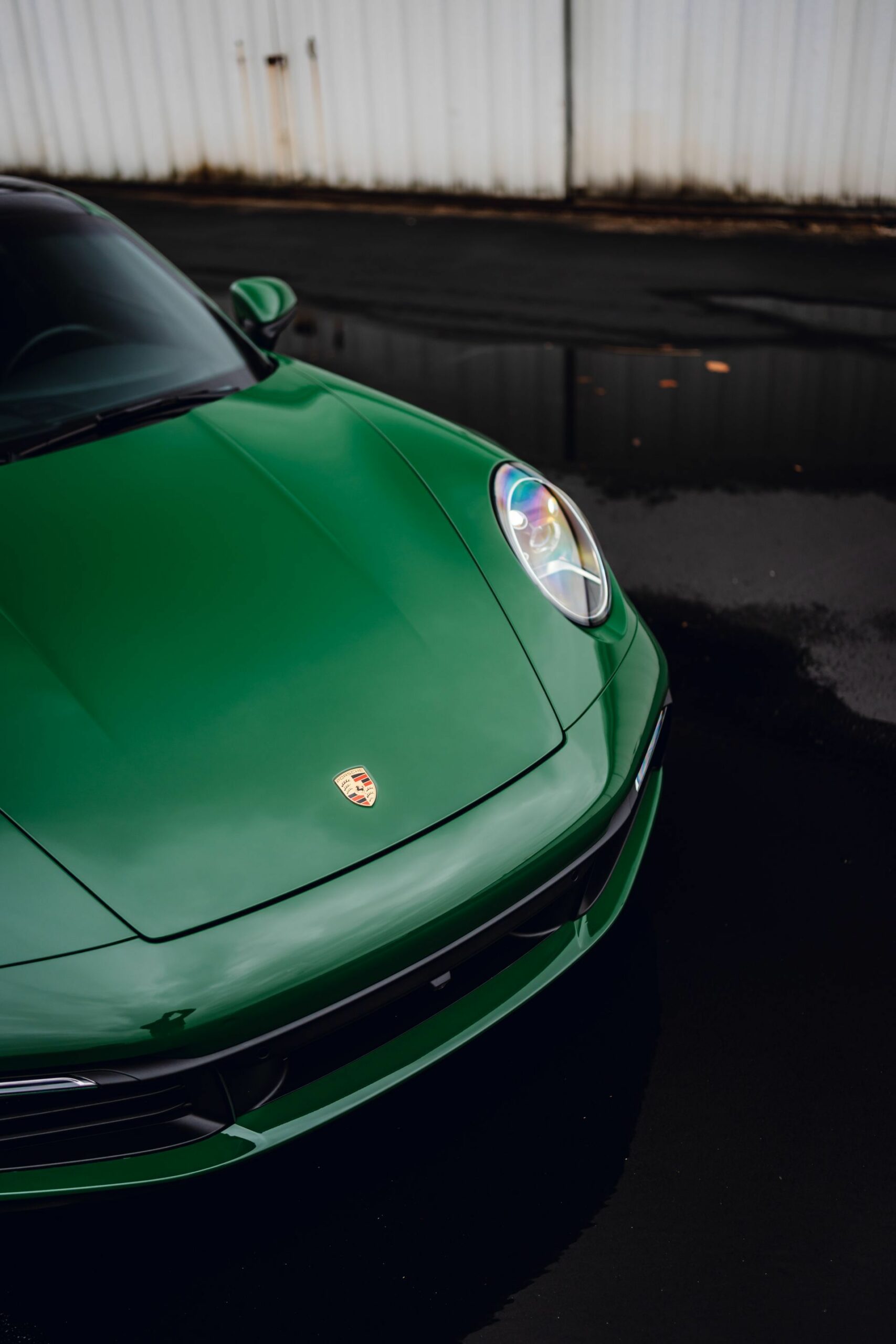 DYNOgreen Introduces a Timeless Classic | STEK USA