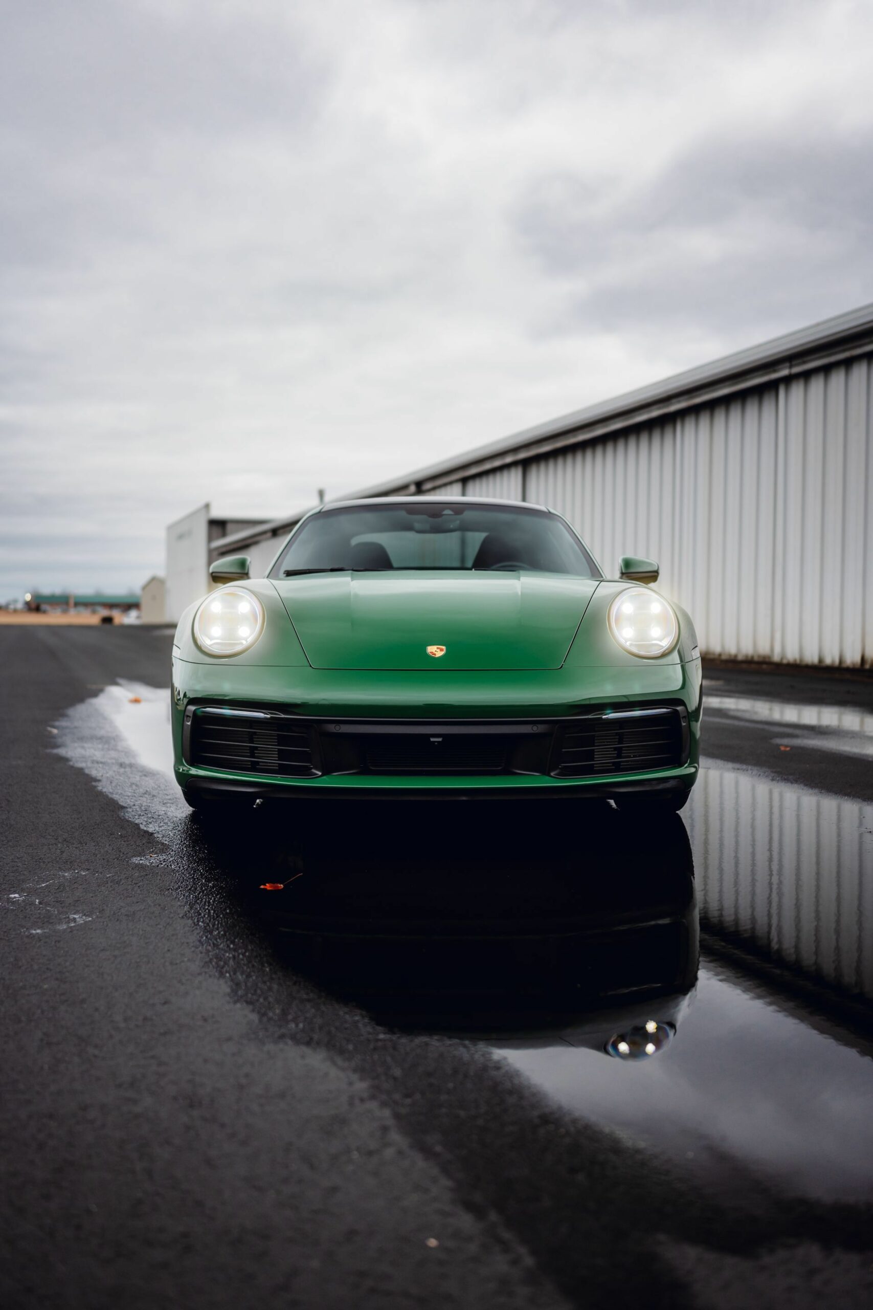 DYNOgreen Introduces a Timeless Classic | STEK USA