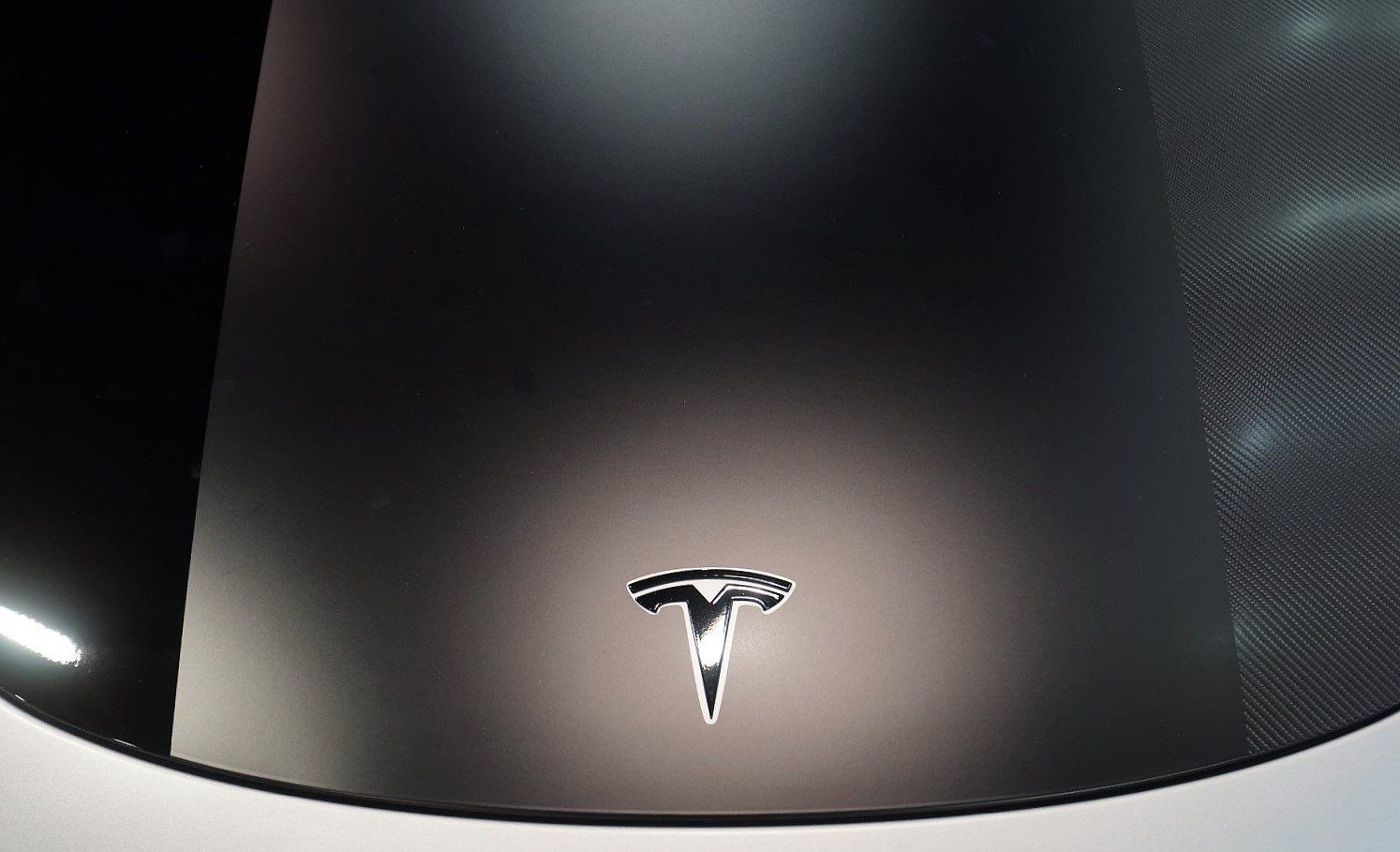 DYNOblack-matte Black Matte PPF | STEK USA