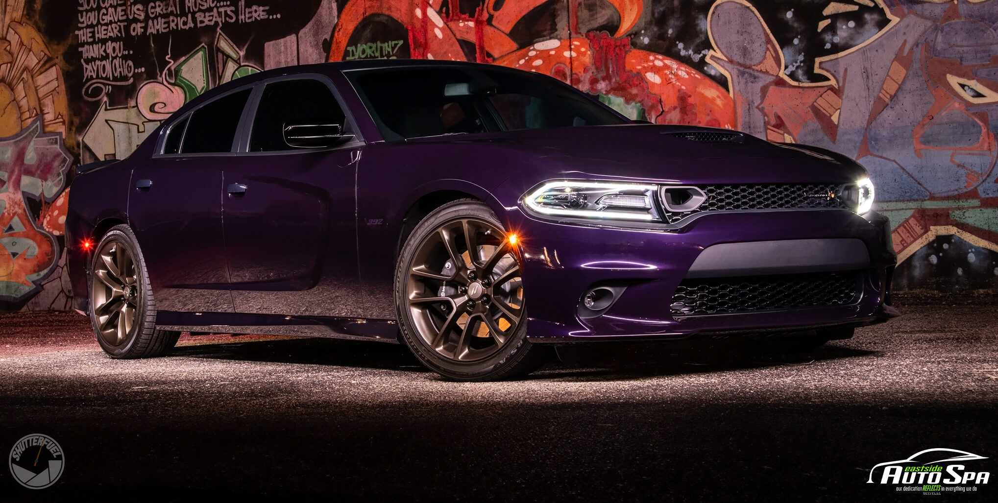 DYNOpurple Midnight Purple PPF | STEK USA