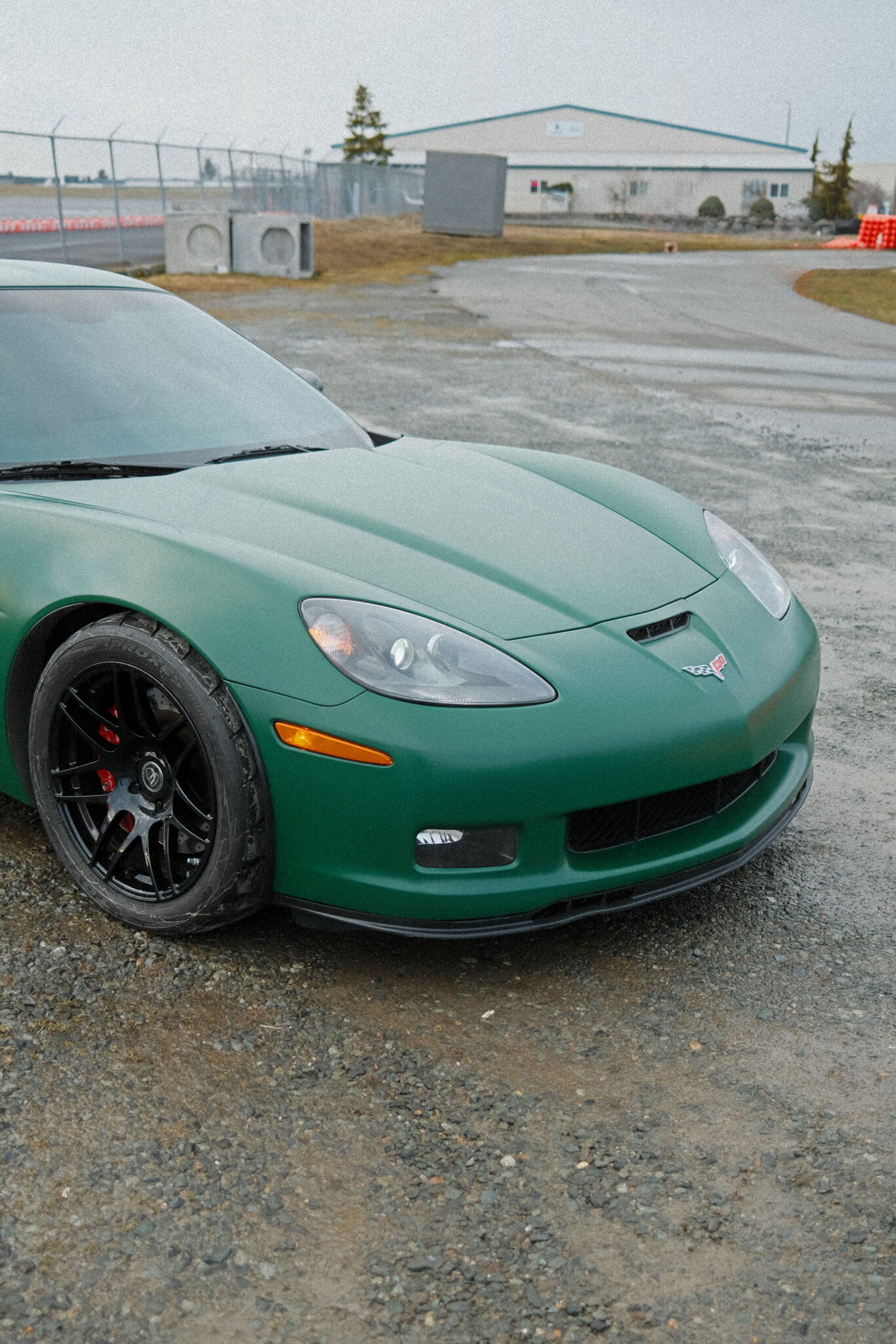 DYNOgreen (BRG) British Racing Green PPF | STEK USA